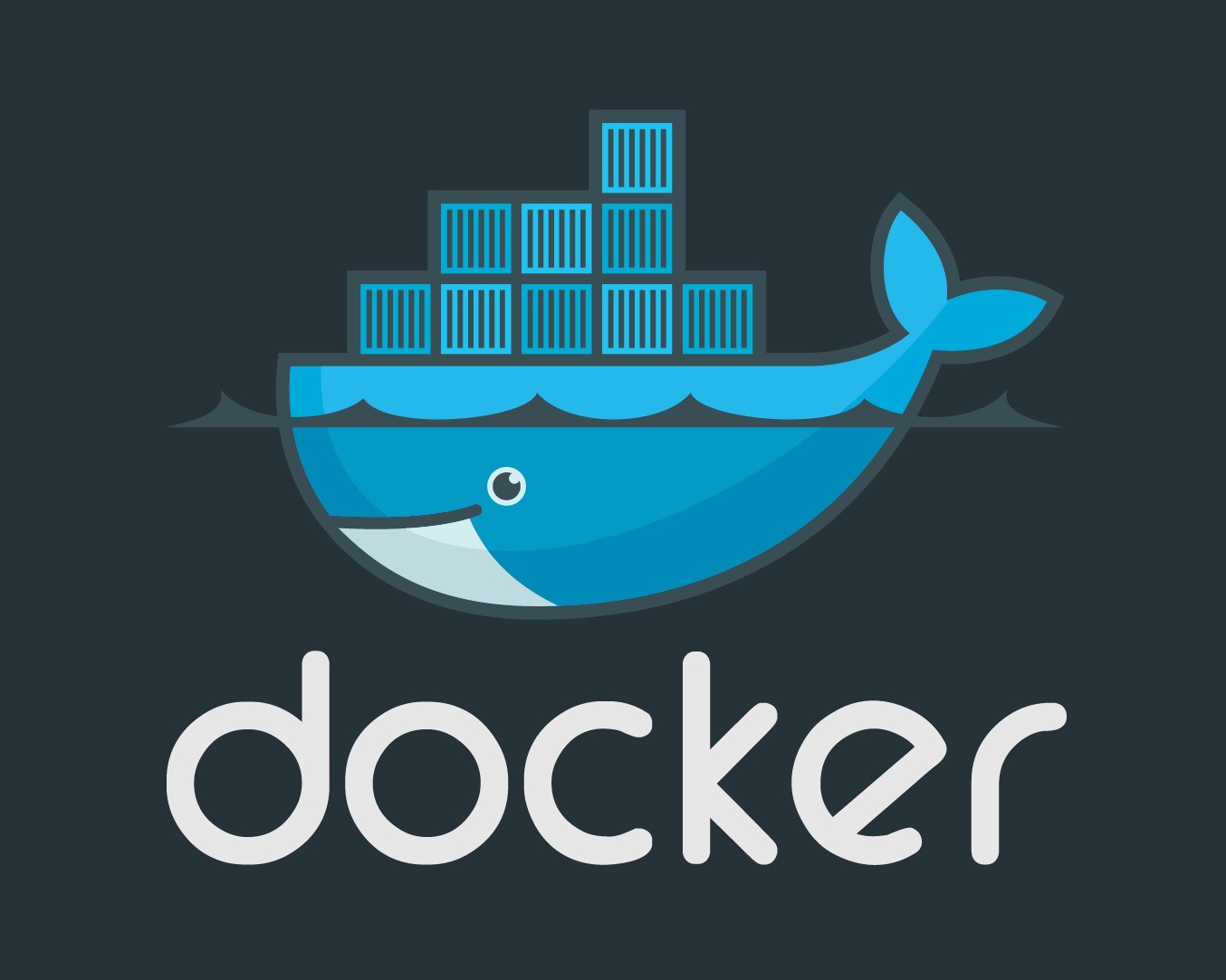 Tarak Katoch | Portfolio